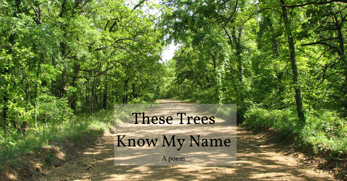These Trees Know My Name – Erynn Crittenden